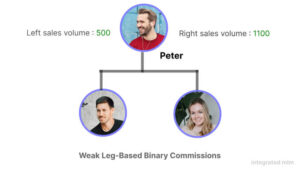How Does Binary MLM Plan Work? Your Ultimate Guide